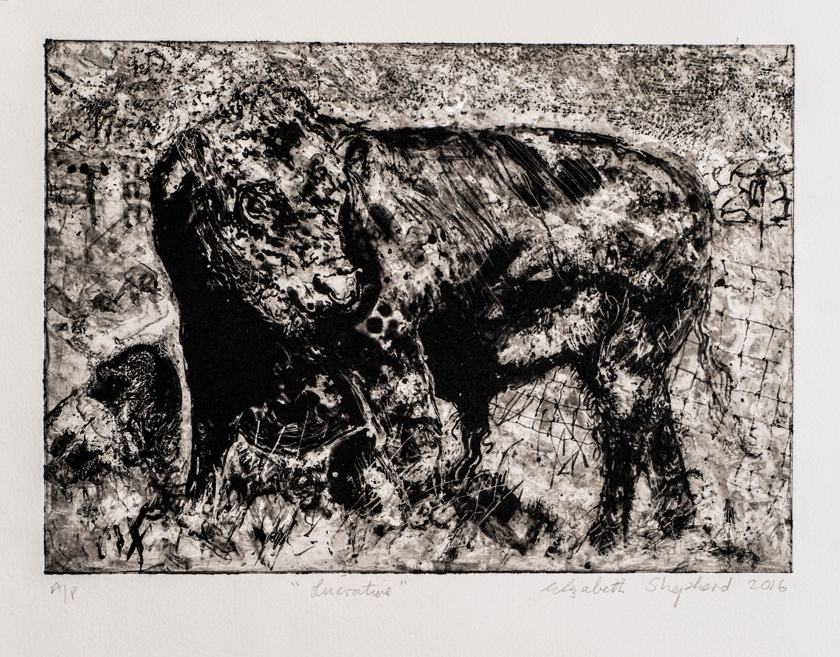 Elizabeth Shepherd - Highland Print Studio