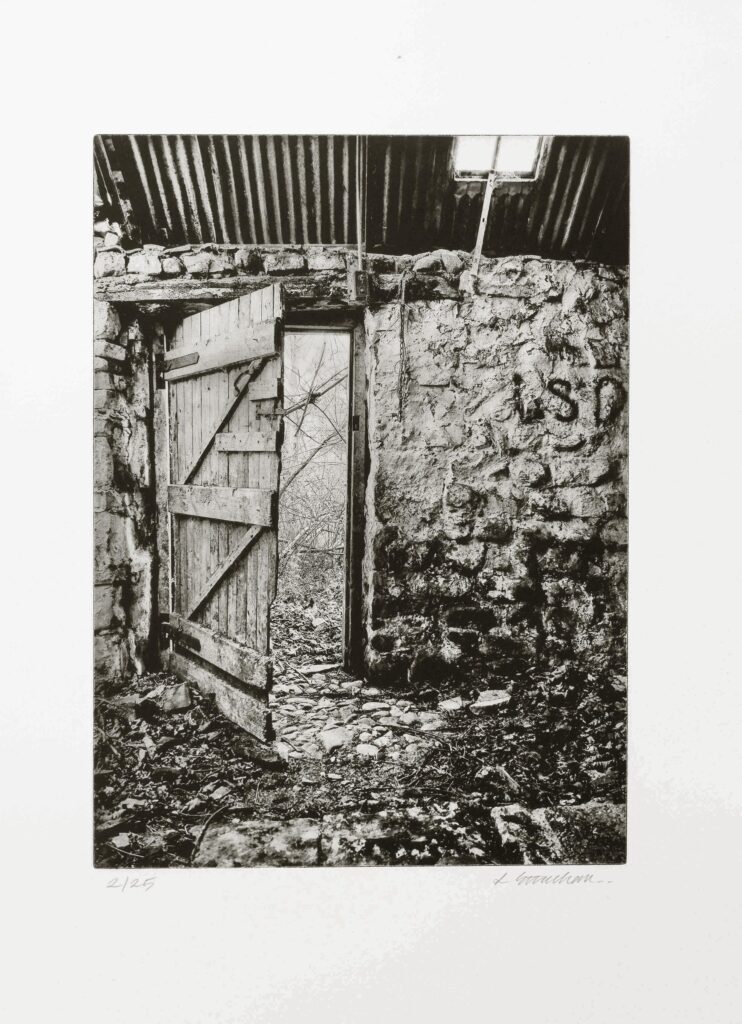 Amongst the Cobwebs I - Highland Print Studio