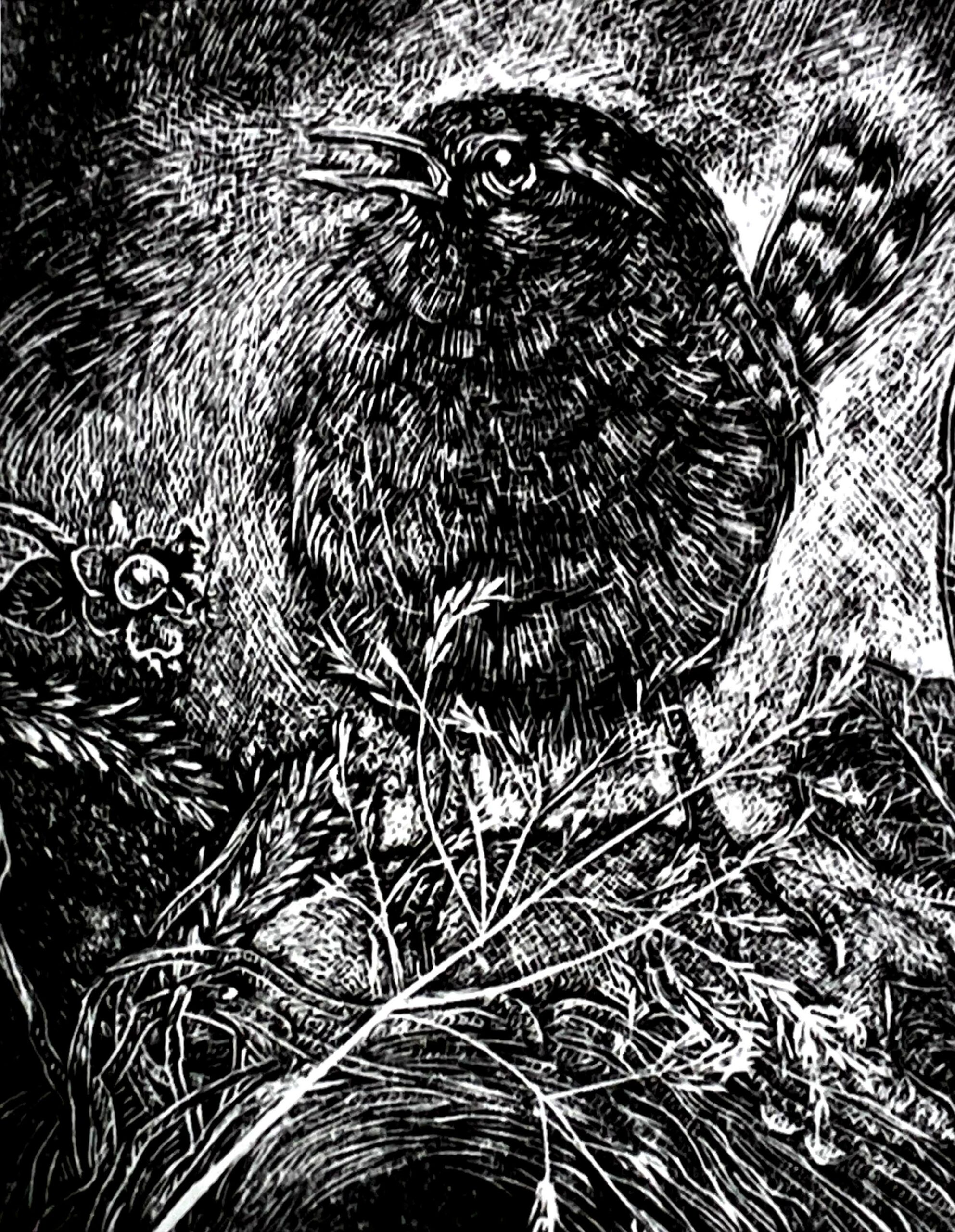 Fiona Mackenzie - Highland Print Studio