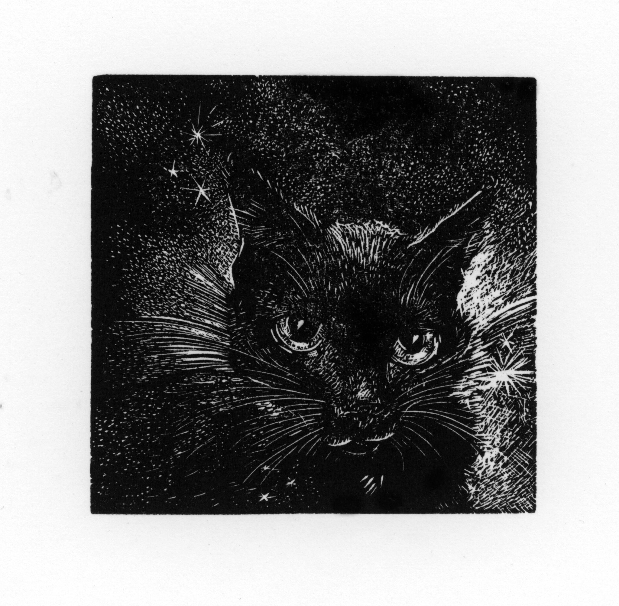 In Conversation with Fiona Mackenzie on Sacred - Highland Print Studio